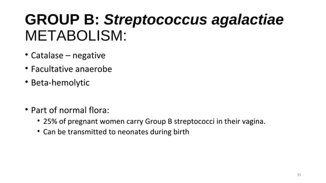 An Overview Of Streptococcal Infections Ppt