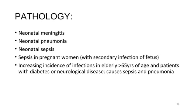 An Overview Of Streptococcal Infections Ppt