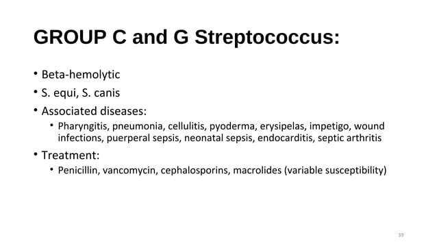 An Overview Of Streptococcal Infections Ppt