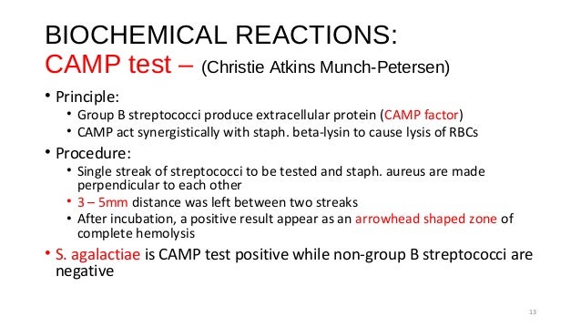 An Overview of Streptococcal Infections