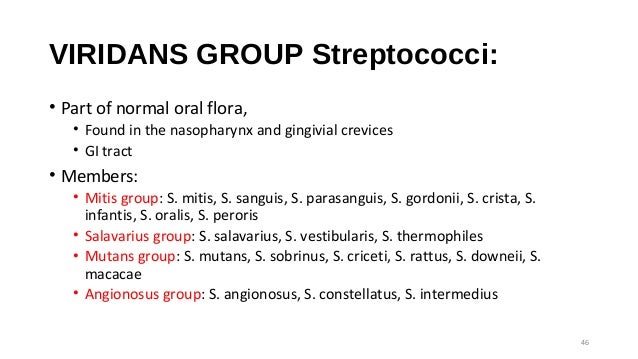 An Overview of Streptococcal Infections