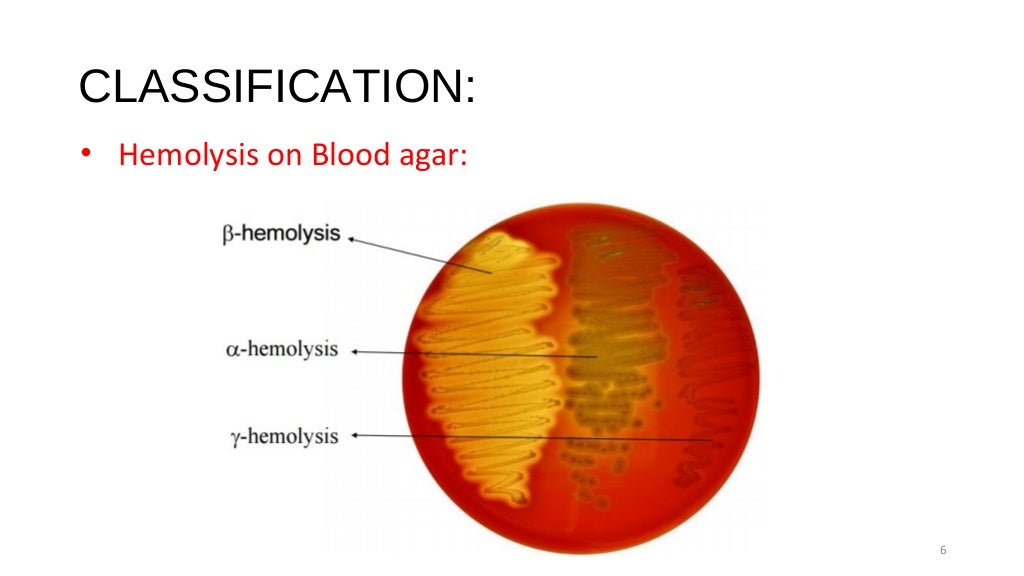 An Overview Of Streptococcal Infections