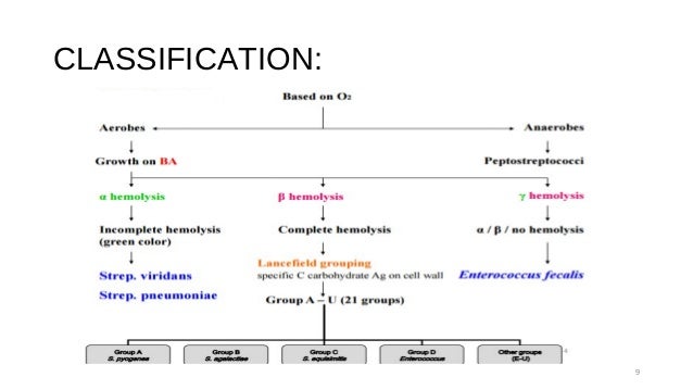 An Overview of Streptococcal Infections