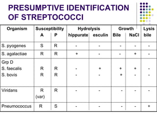 Streptococci With Pics (1) | PPT