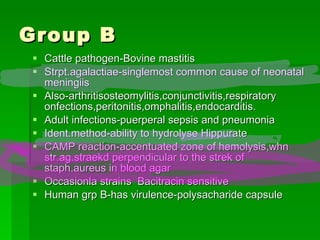 Streptococcus | PPT