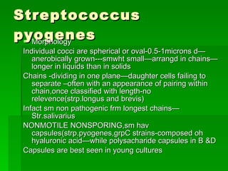 Streptococcus | PPT