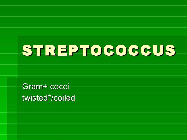 Streptococcus Pyogenes Slide
