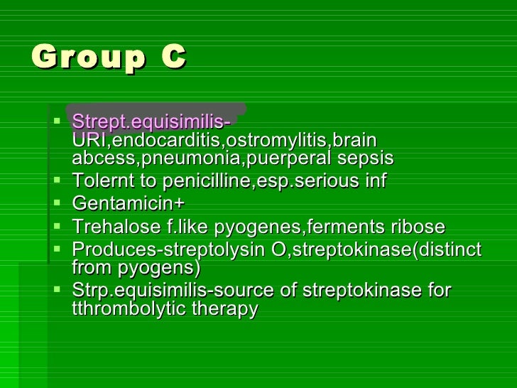 Streptococcus