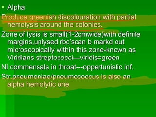 Streptococcus | PPT