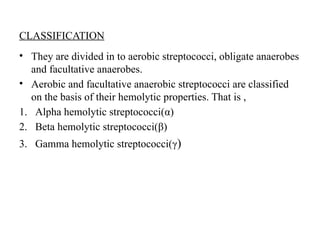 STREPTOCOCCUS-1 2.pptx micro biology of streptococcus | PPTX