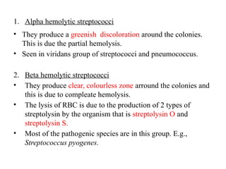 STREPTOCOCCUS-1 2.pptx micro biology of streptococcus | PPTX