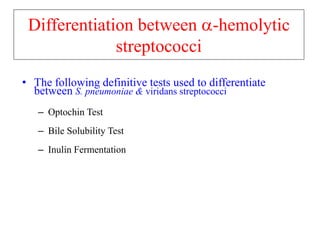 Streptococcusبكتريا عملي | PPT