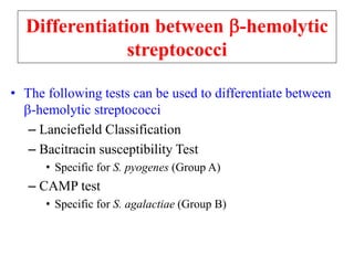 Streptococcusبكتريا عملي | PPT