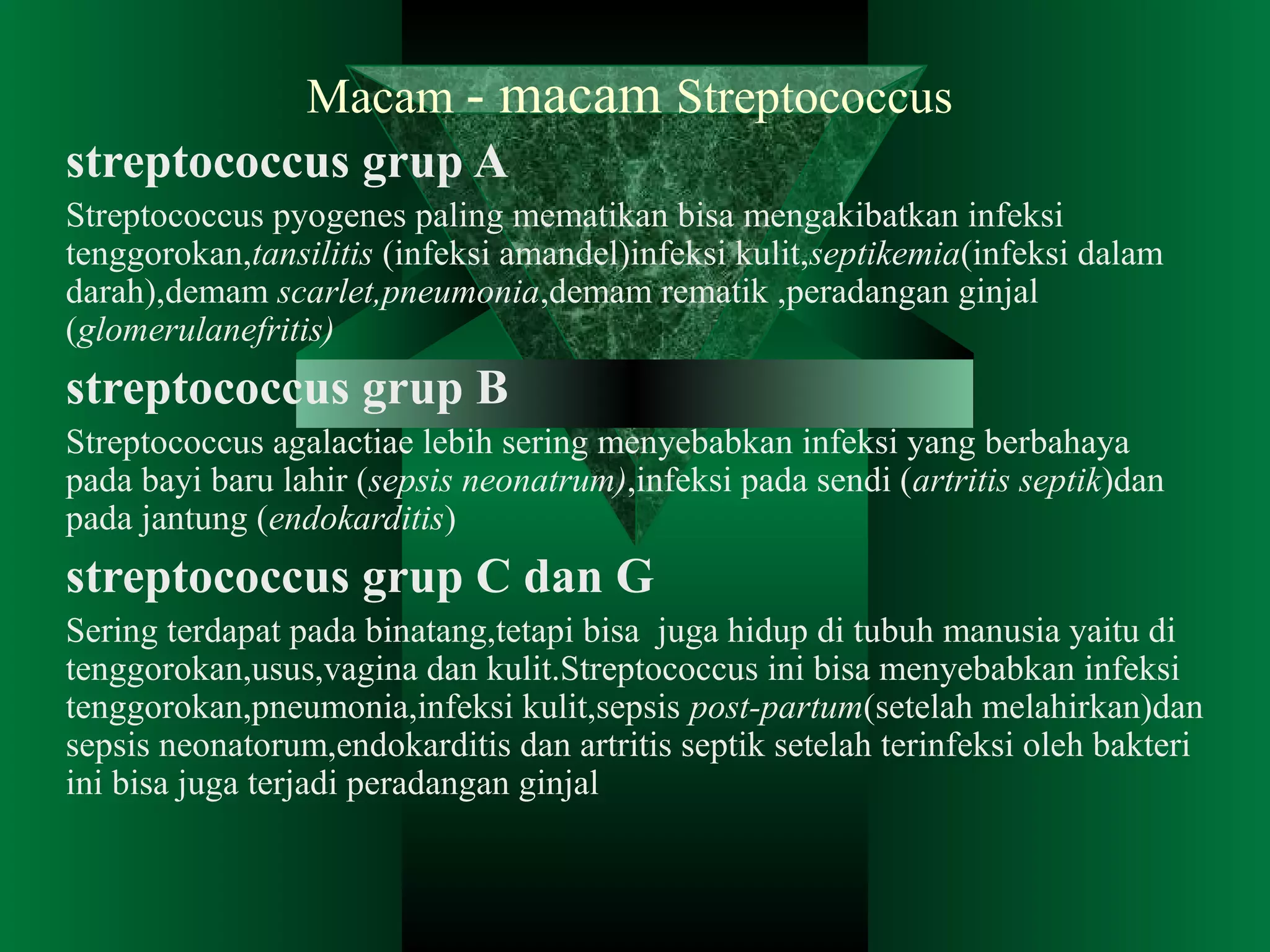 Streptococcus | PPT