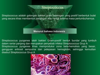 Streptococcus | PPT