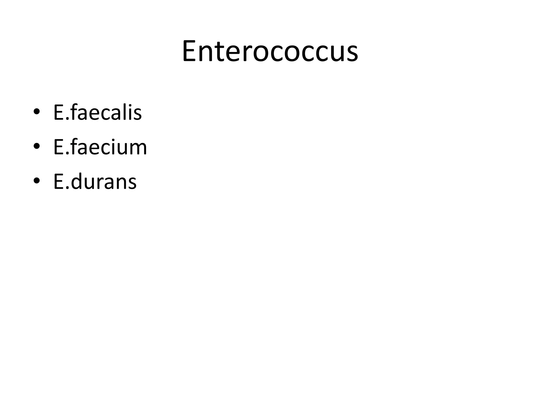 Streptococcus | PPTX