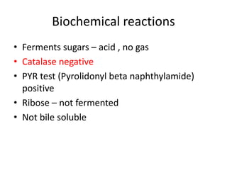 Streptococcus | PPTX