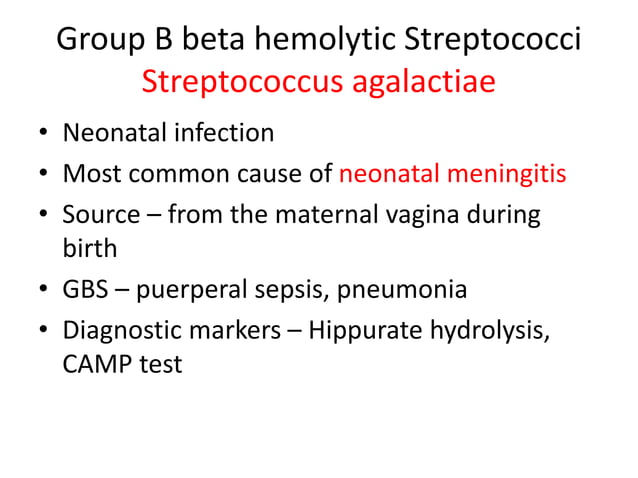 Streptococcus | PPTX | Infectious Diseases | Diseases and Conditions