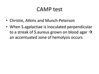 Streptococcus | PPTX