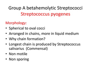 Streptococcus | PPTX