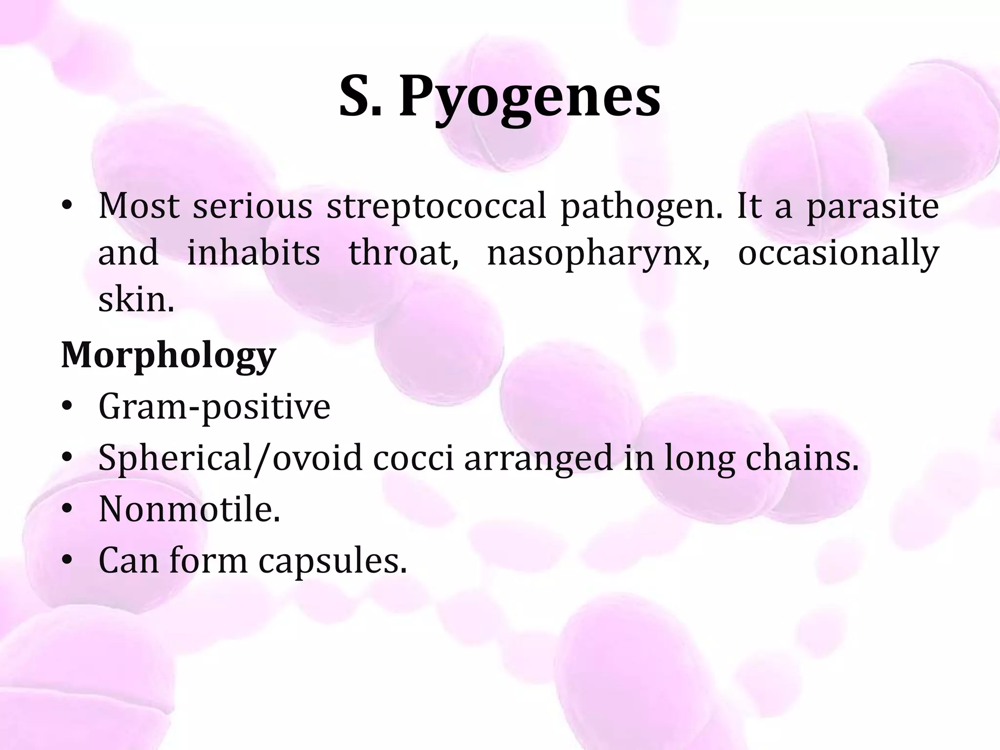 Streptococcus | PPSX