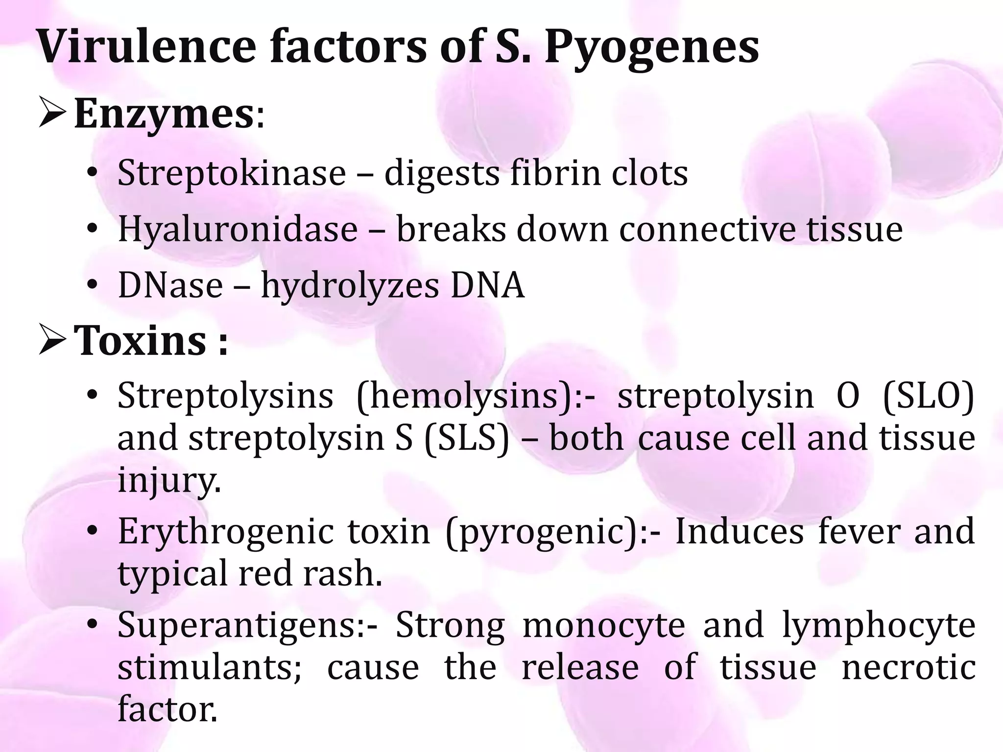 Streptococcus | PPSX