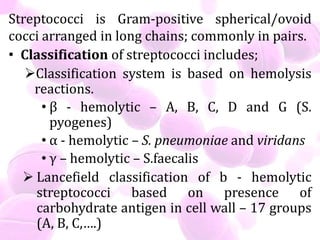 Streptococcus | PPSX