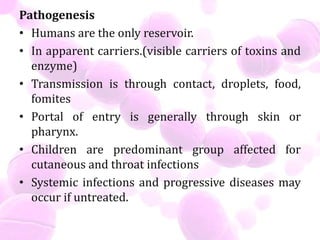 Streptococcus Pyogenes Slide