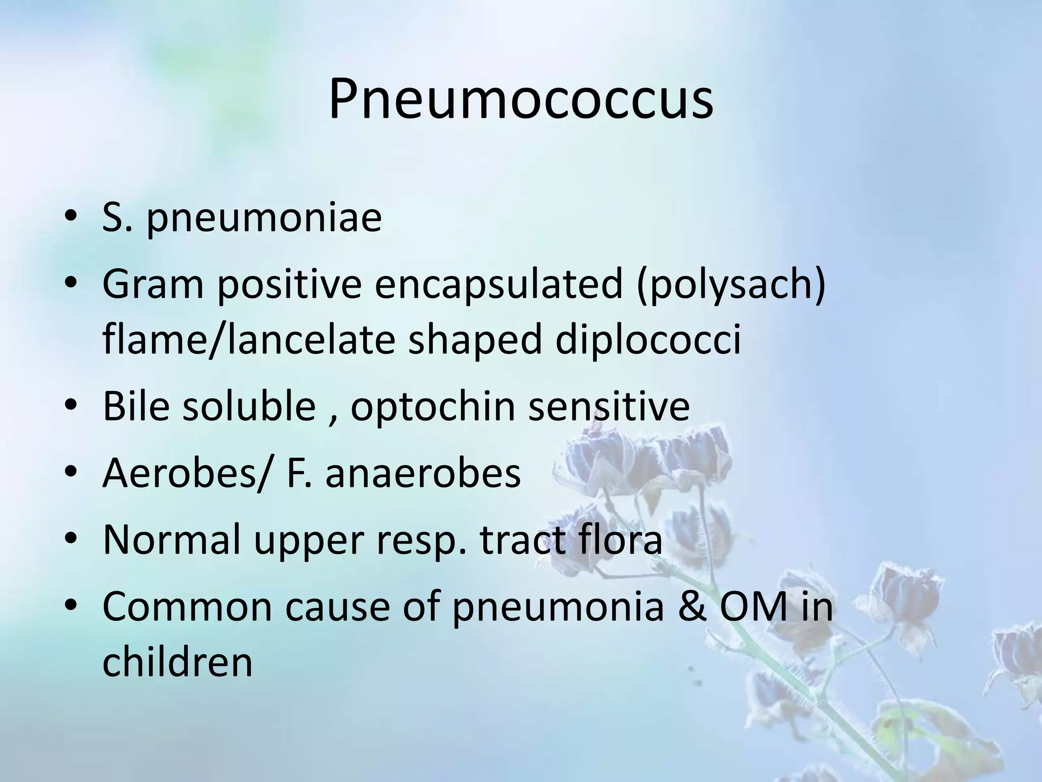 Streptococcus | PPTX