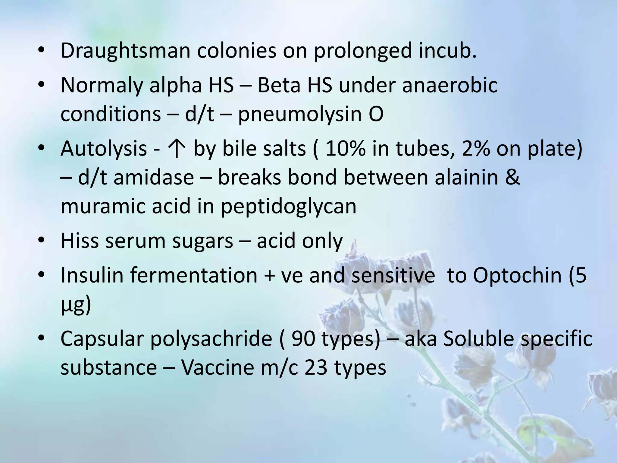 Streptococcus | PPTX