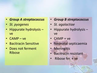 Streptococcus | PPTX