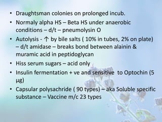 Streptococcus | PPTX