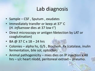 Streptococcus | PPTX