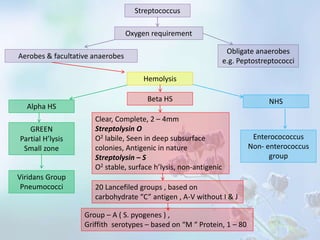 Streptococcus | PPTX