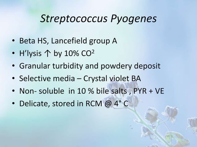 Streptococcus | PPTX | Chemistry | Science