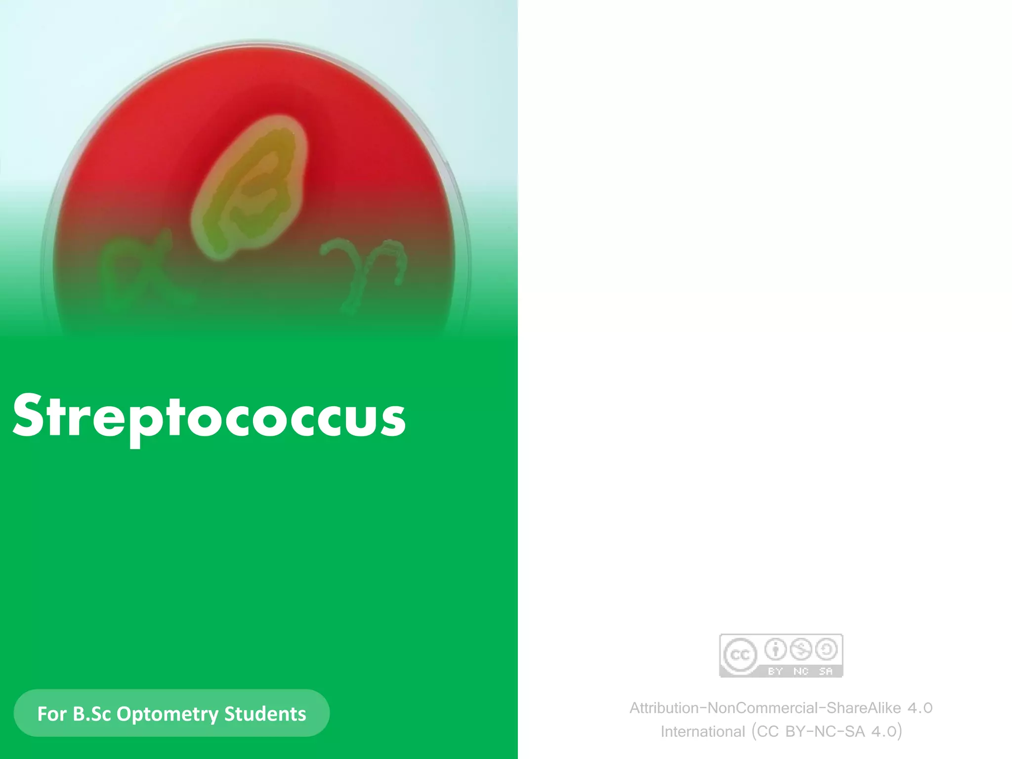 Streptococcus | PDF