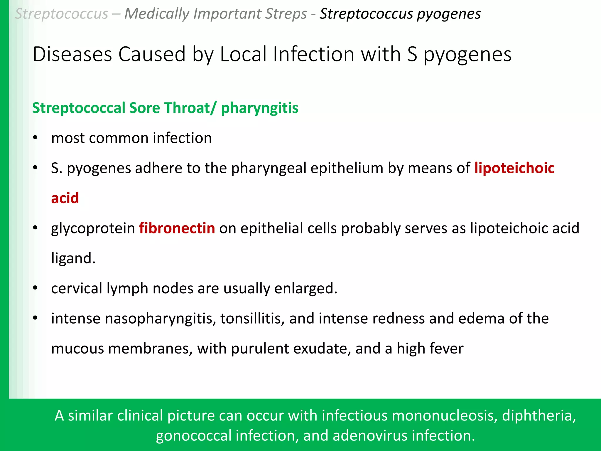 Streptococcus | PDF