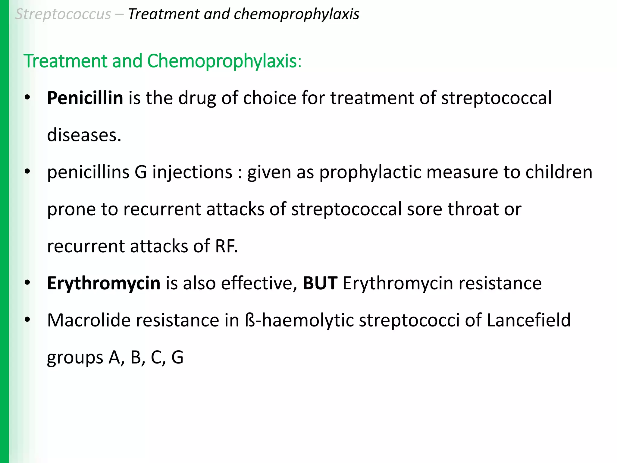 Streptococcus | PDF