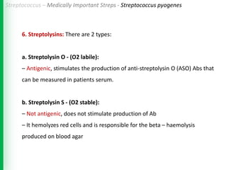 Streptococcus | PDF