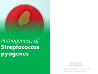 Streptococcus | PDF
