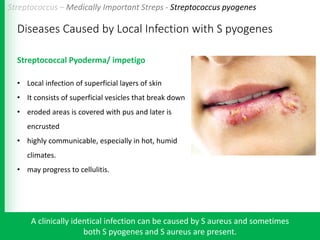 Streptococcus | PDF