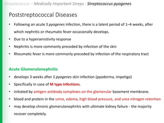 Streptococcus | PDF