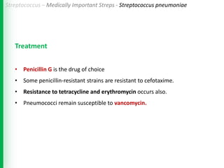 Streptococcus | PDF