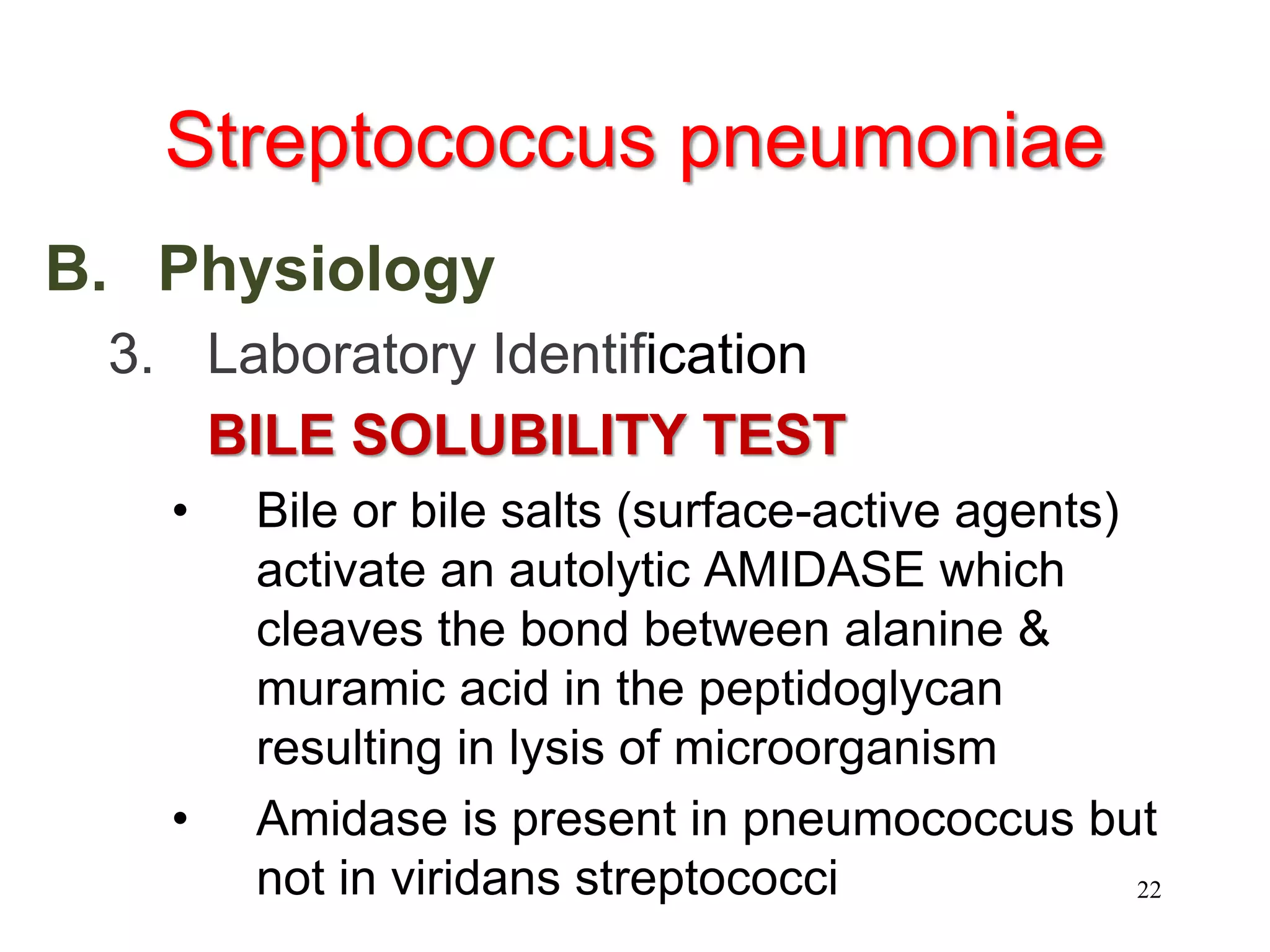 PNEUMOCOCCUS | PPT
