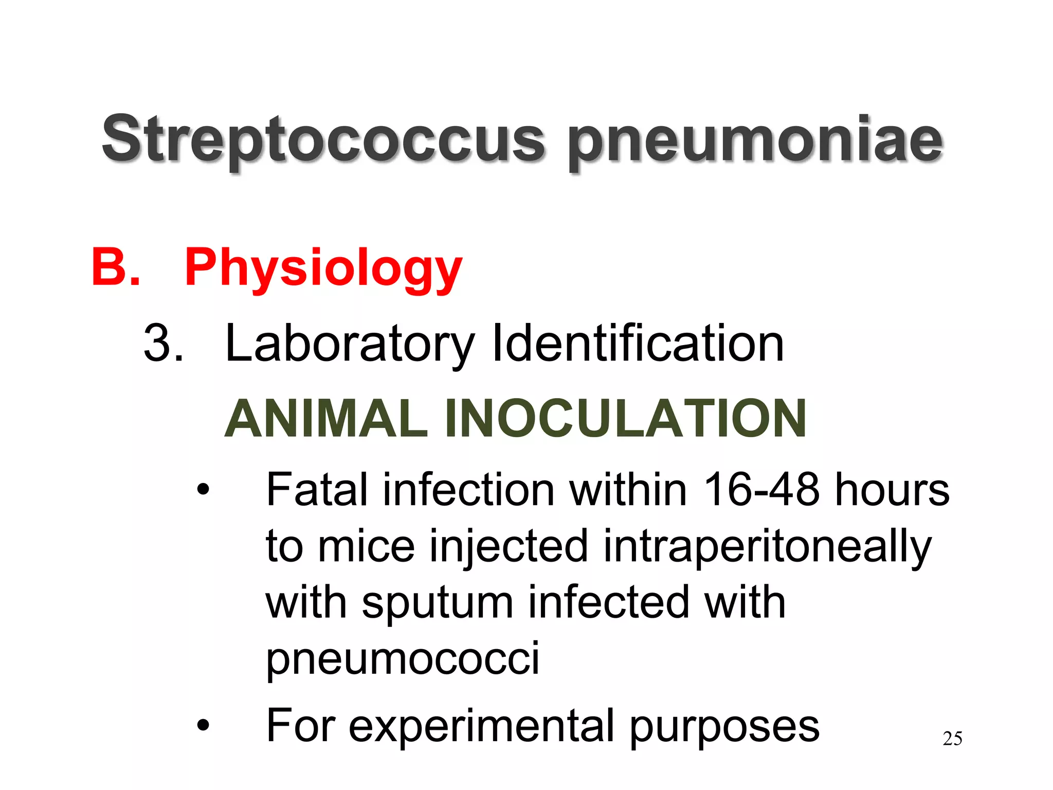 PNEUMOCOCCUS | PPT