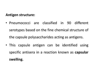 Streptococcus - 2.pptx