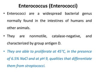 Streptococcus - 2.pptx