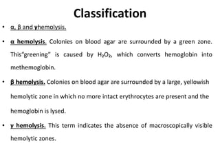 Streptococcus - 2.pptx