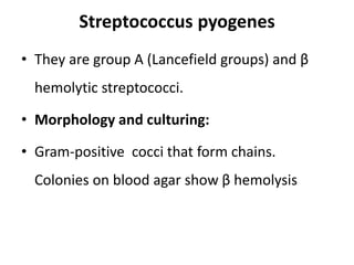 Streptococcus - 2.pptx