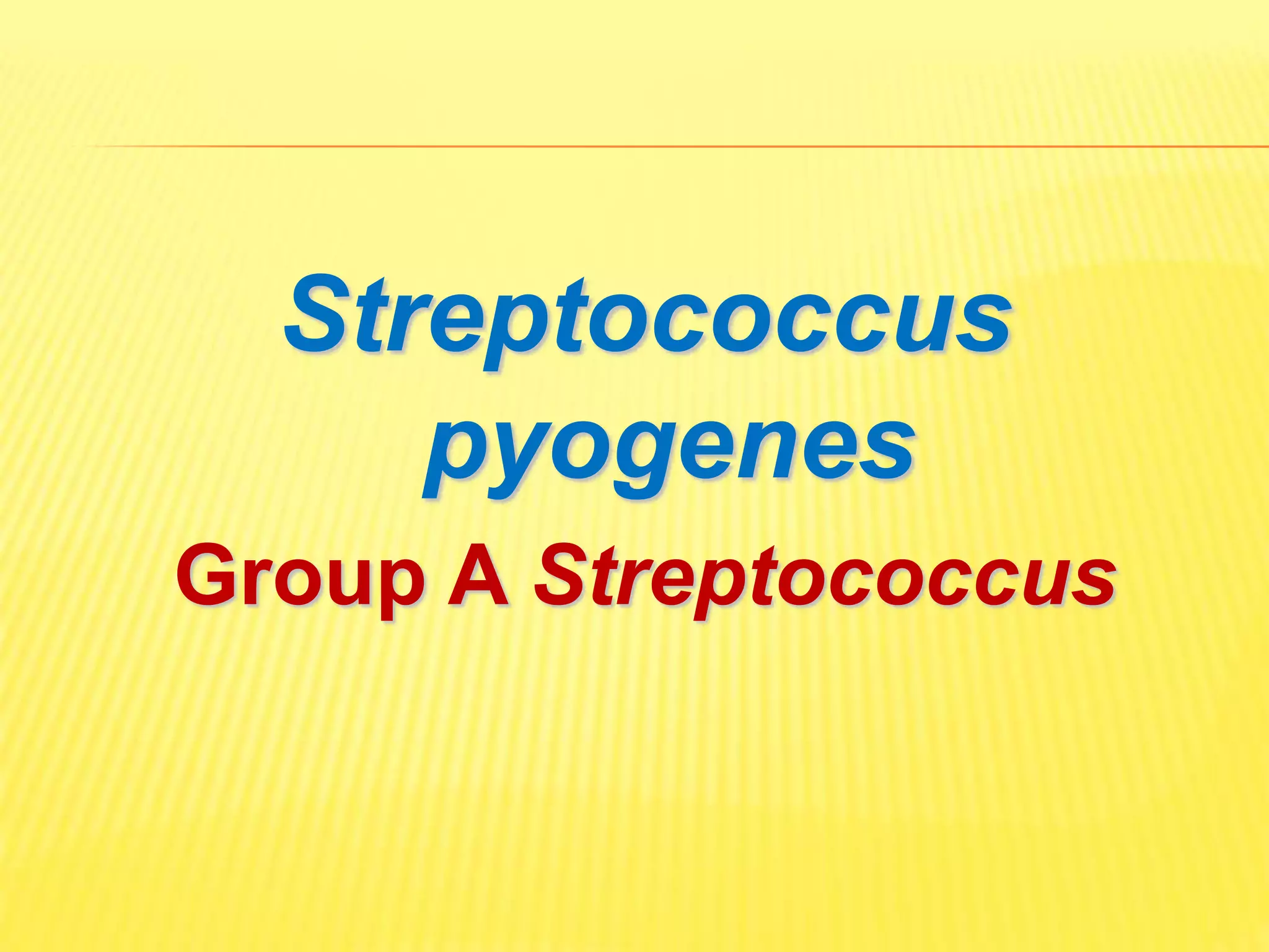 Streptococcus | PPTX